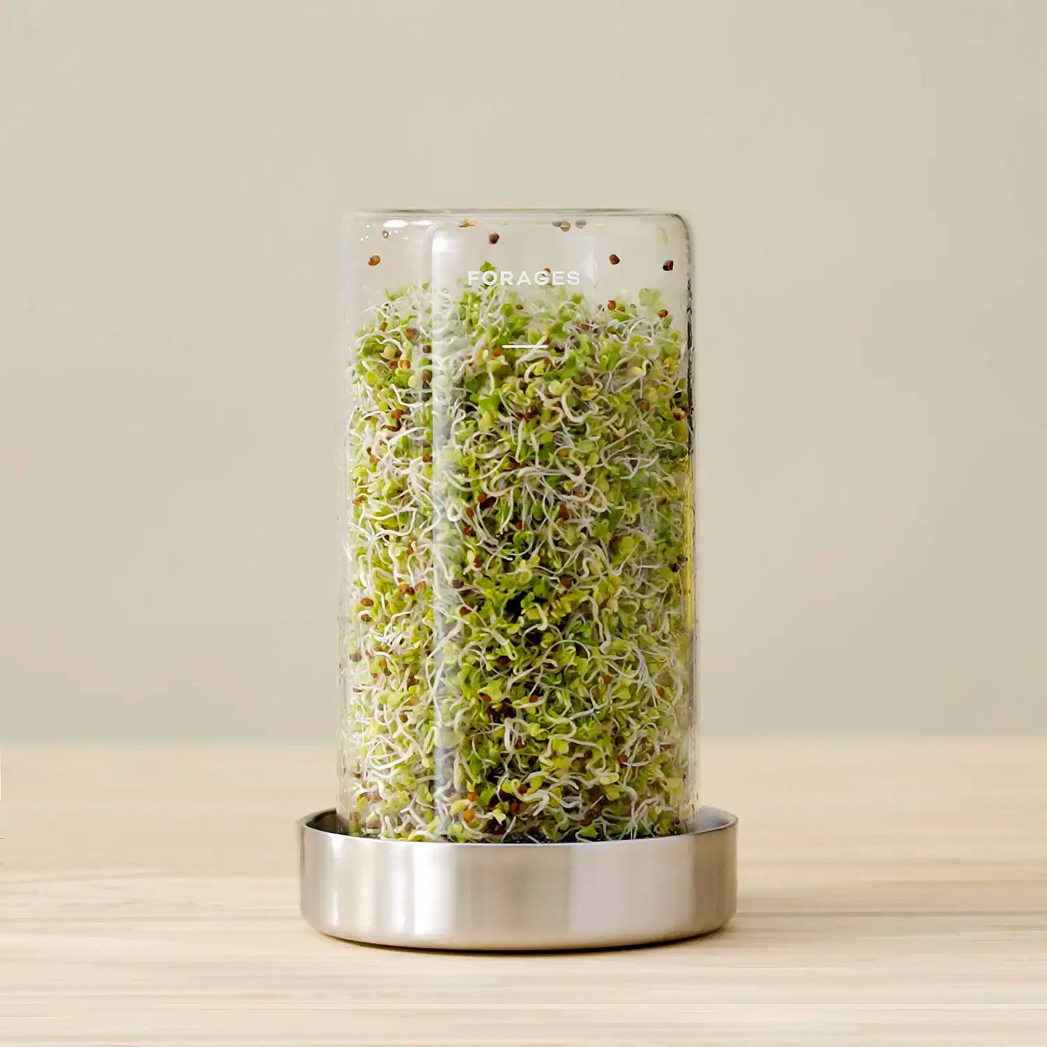 Sprout Jar Kit – Forages